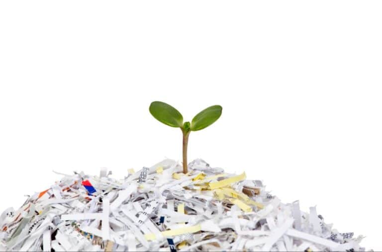 Why Your Business Should Recycle Shredded Paper